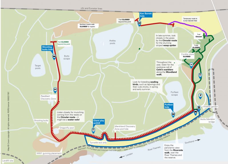 Sounds of Rainham Marshes - T100